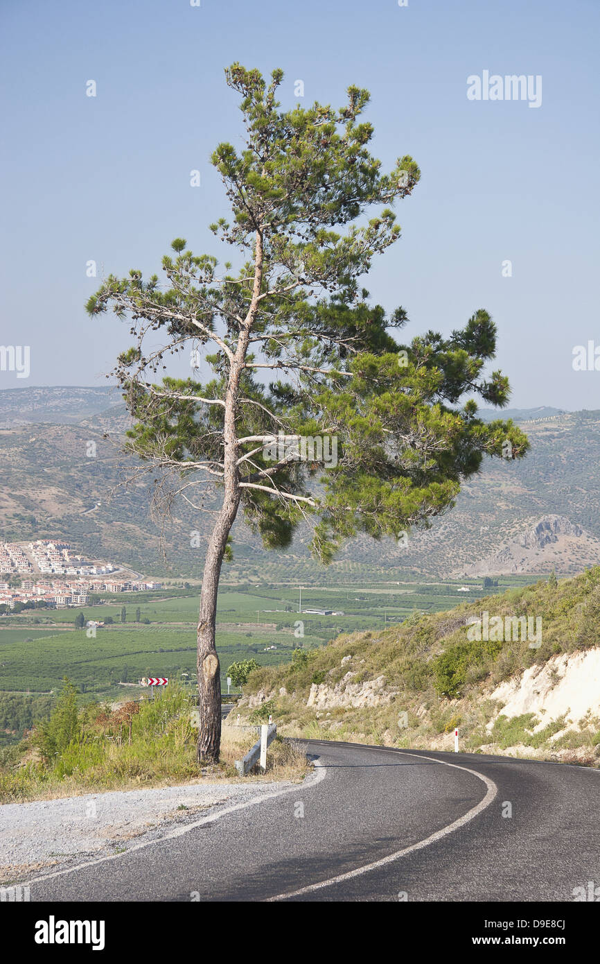 mountain road with dangerous curves Stock Photo - Alamy