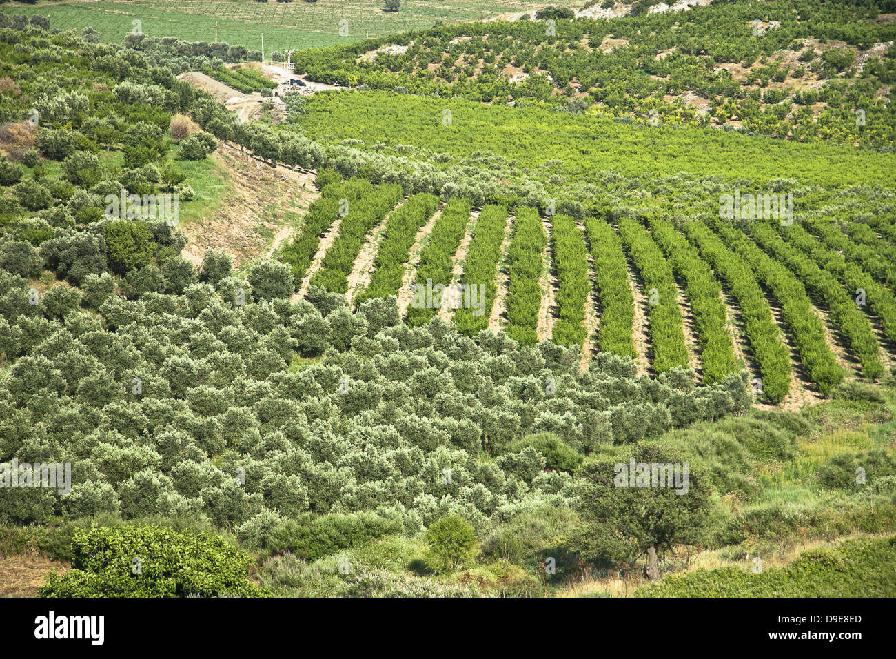 Landscape View of valley Stock Photo - Alamy