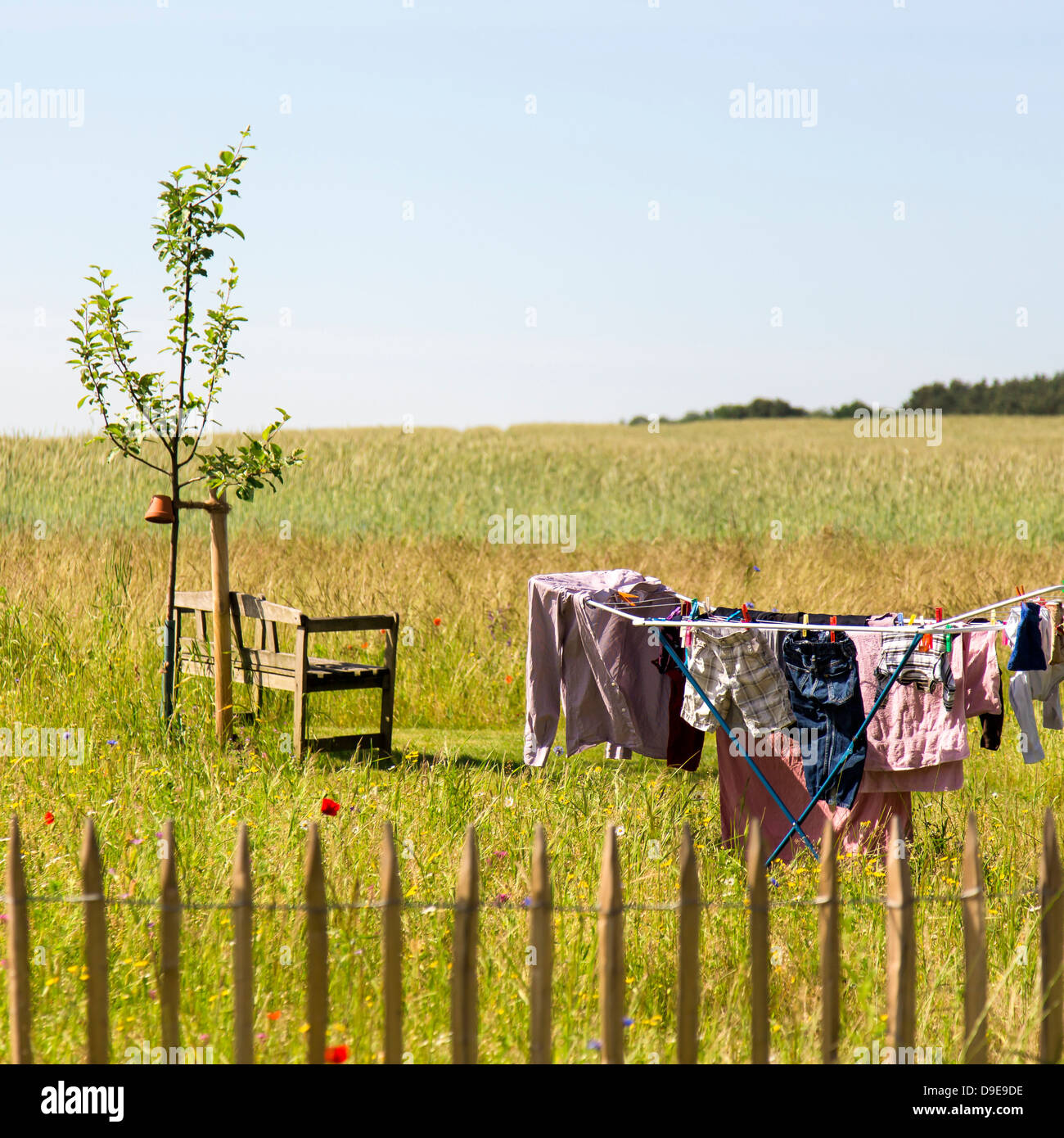 Clothesline garden hi-res stock photography and images - Alamy