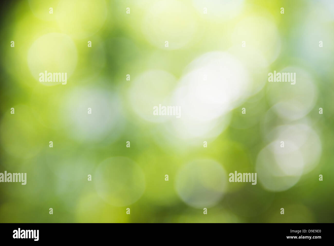 Effect blur background, abstract light boke Stock Photo - Alamy