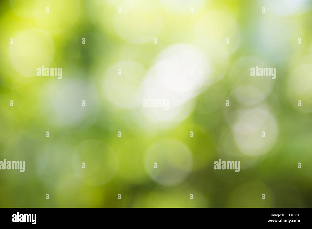 How to blur background hi-res stock photography and images - Alamy