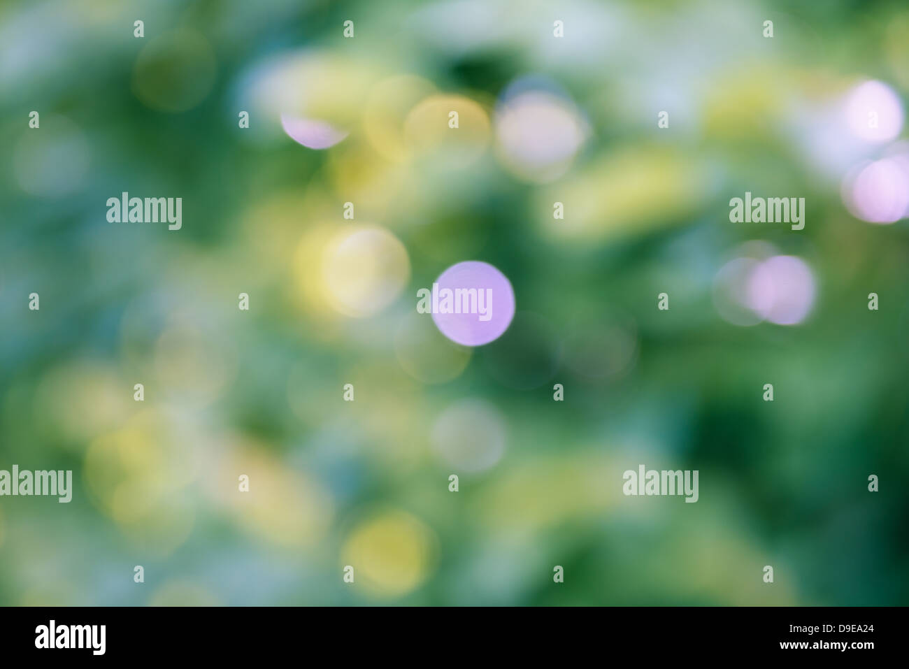 Effect blur background, abstract light boke green Stock Photo - Alamy