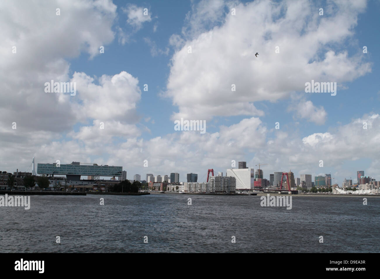 Look at the Maashaven in Rotterdam, Netherlands Stock Photo - Alamy
