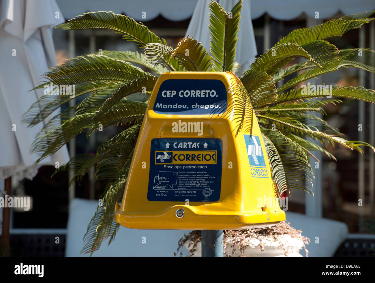 A yellow mailbox stands in front of a small palm tree on a street in ...
