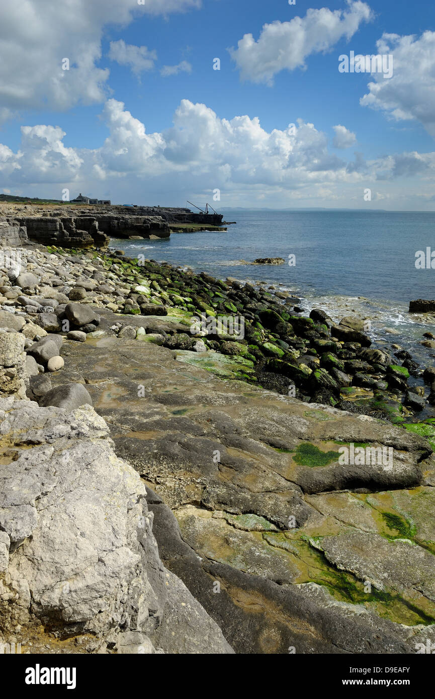 Portland bill england portland bill sea coast coastline rocks shore hi ...