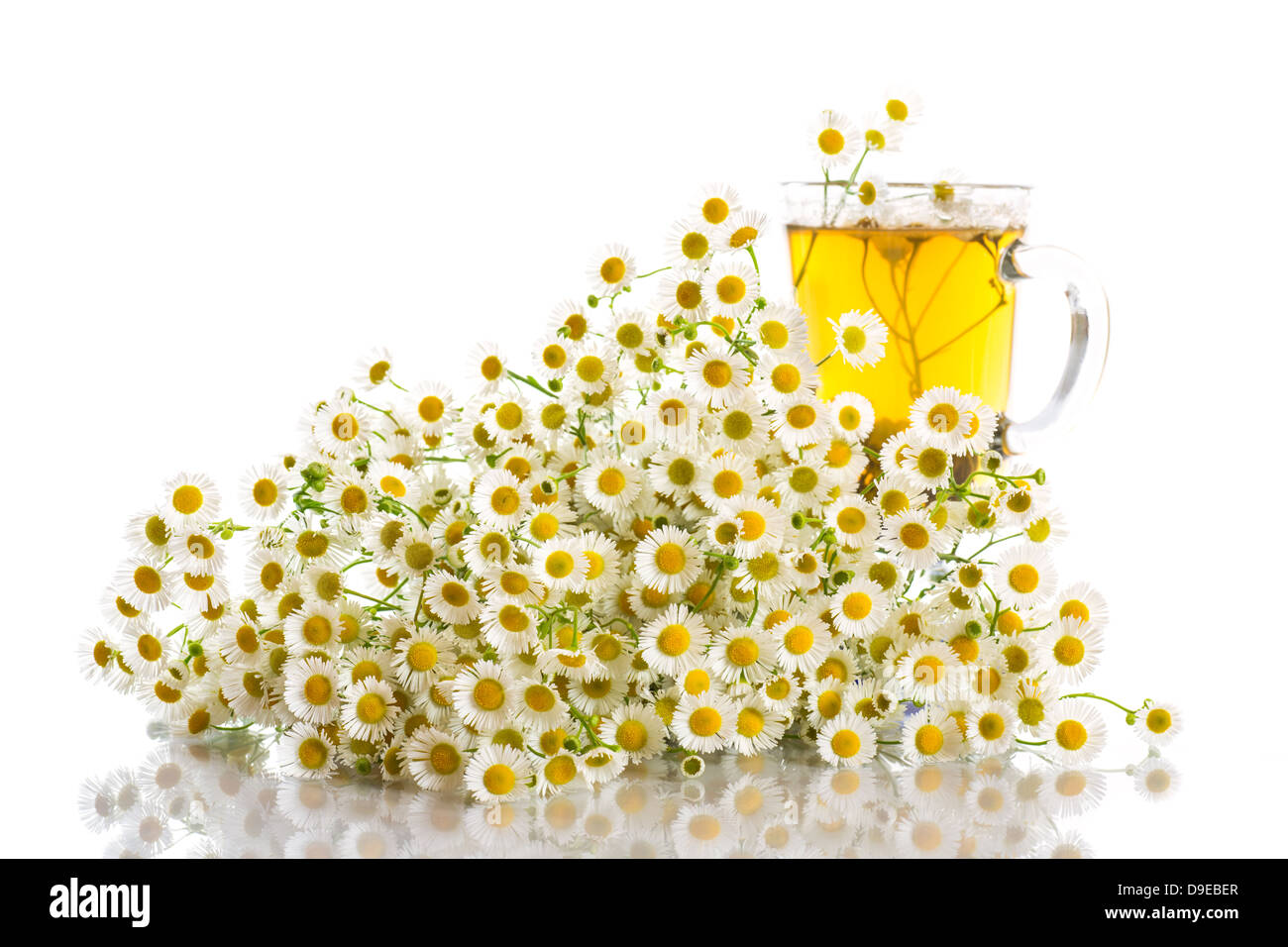 herbal tea with chamomile Stock Photo - Alamy