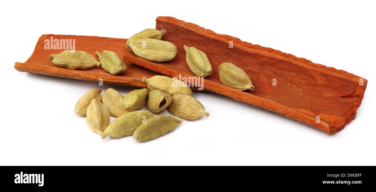 Cardamom seeds with cinnamon bark Stock Photo - Alamy