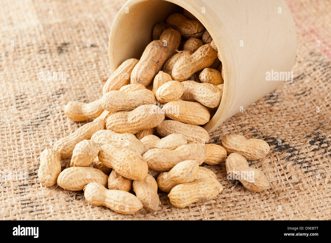 Fresh Dry Organic Peanuts against a background Stock Photo - Alamy