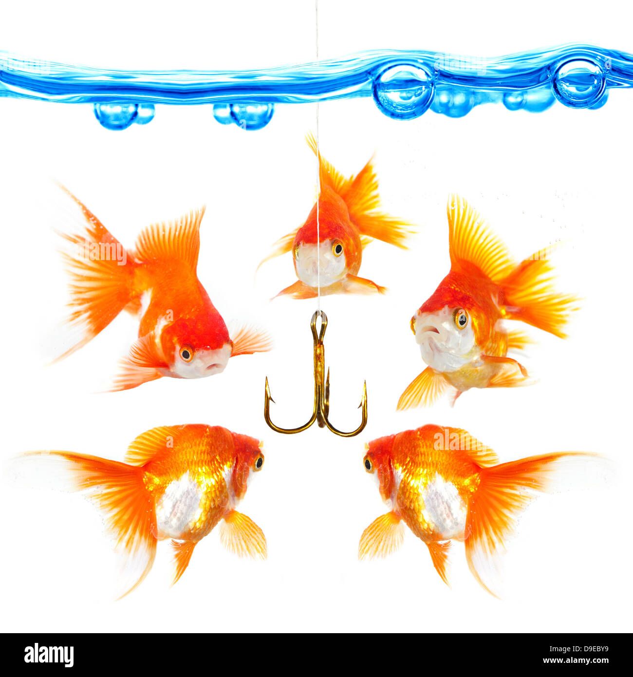 Five small fishes at a hook Stock Photo - Alamy