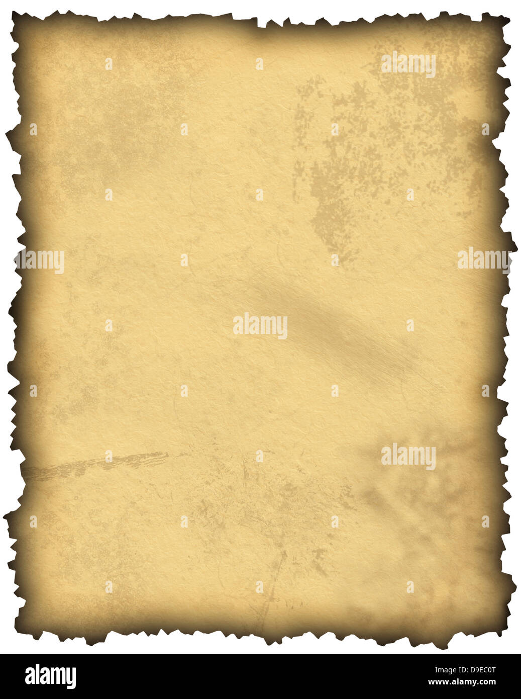 Old blank parchment paper with burnt edges on white. Zoom in to see the ...