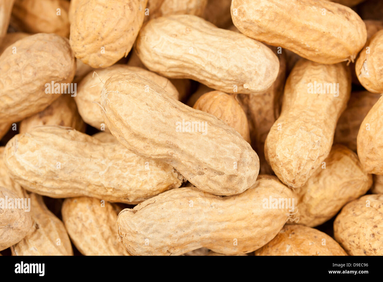 Fresh Dry Organic Peanuts against a background Stock Photo - Alamy