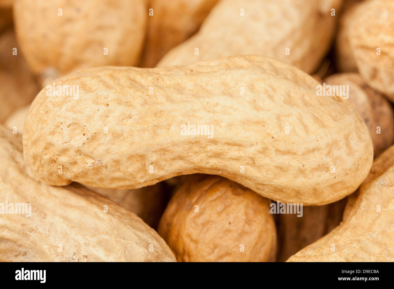 Fresh Dry Organic Peanuts against a background Stock Photo - Alamy