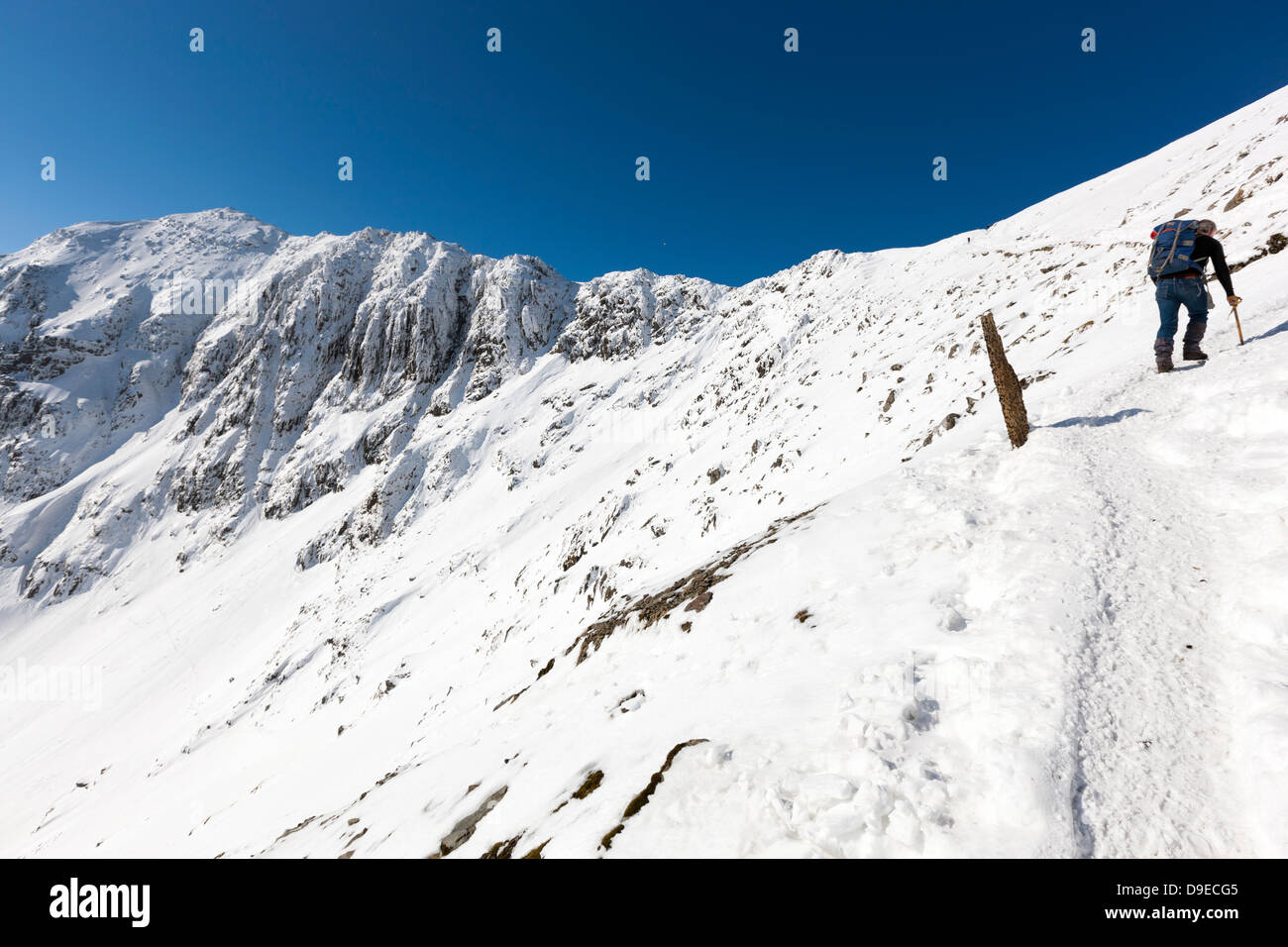 Tourist climbs the snowy Pyg Track, Snowdonia National Park, Wales, UK ...