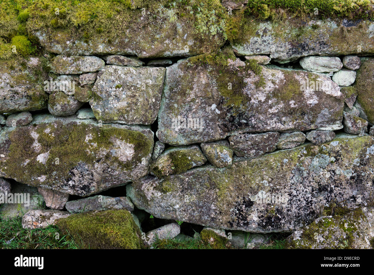 Devon dry stone walls hi-res stock photography and images - Alamy