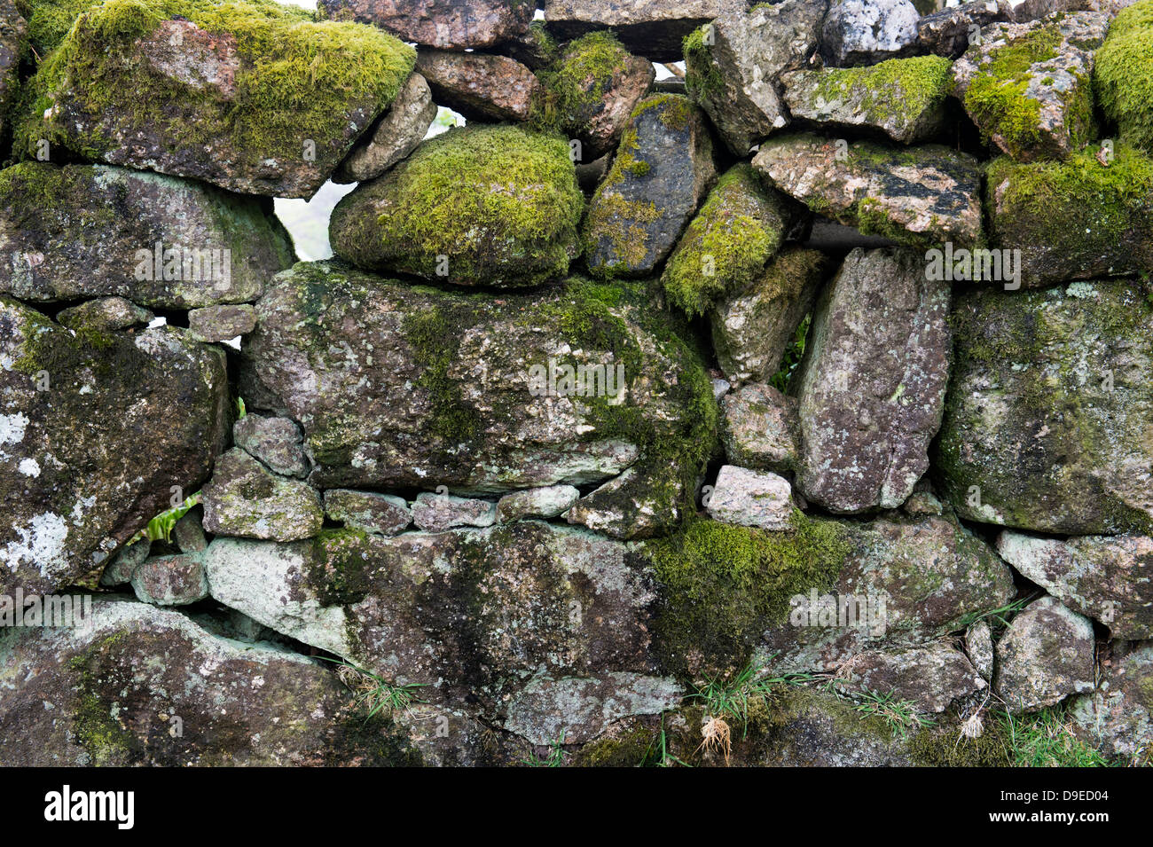 Devon dry stone walls hi-res stock photography and images - Alamy