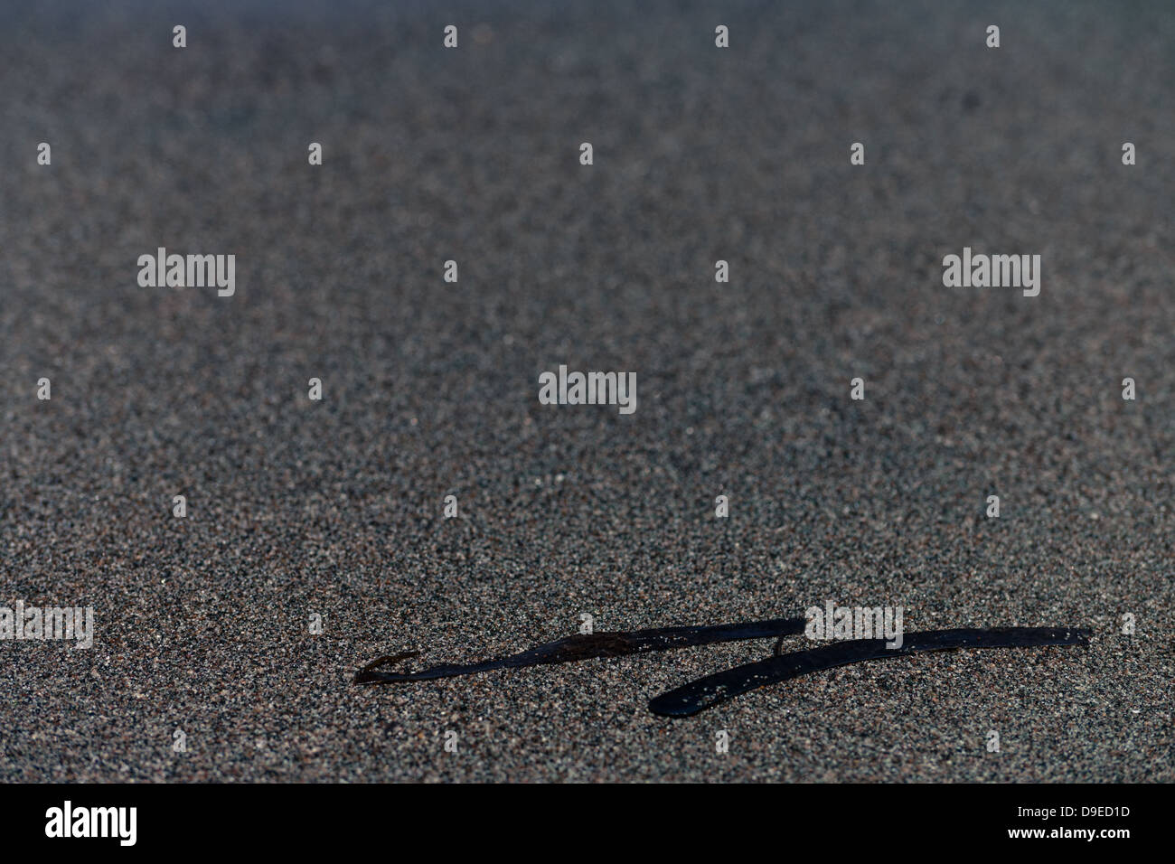 Sand and stone shore hi-res stock photography and images - Alamy