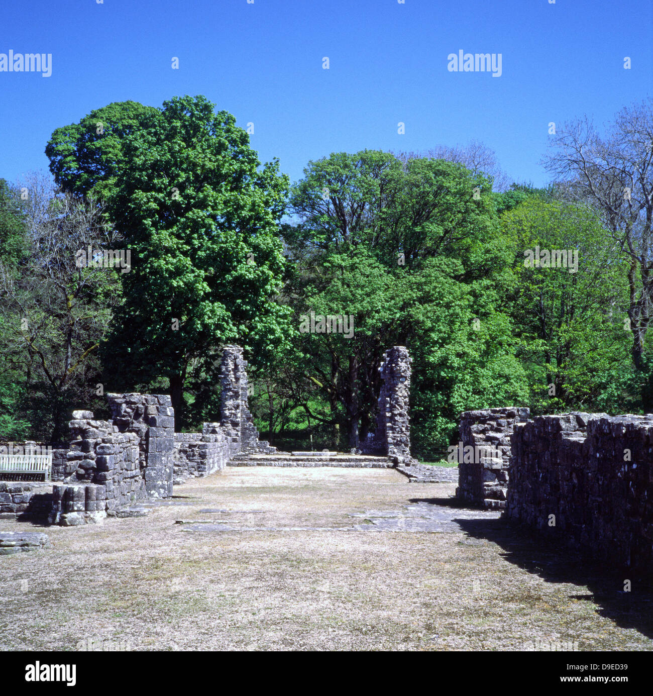 Shap abbey scotland hi-res stock photography and images - Alamy
