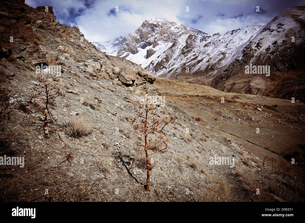 Life in the Yagnob Valley, a remote place in Tajikistan where people ...
