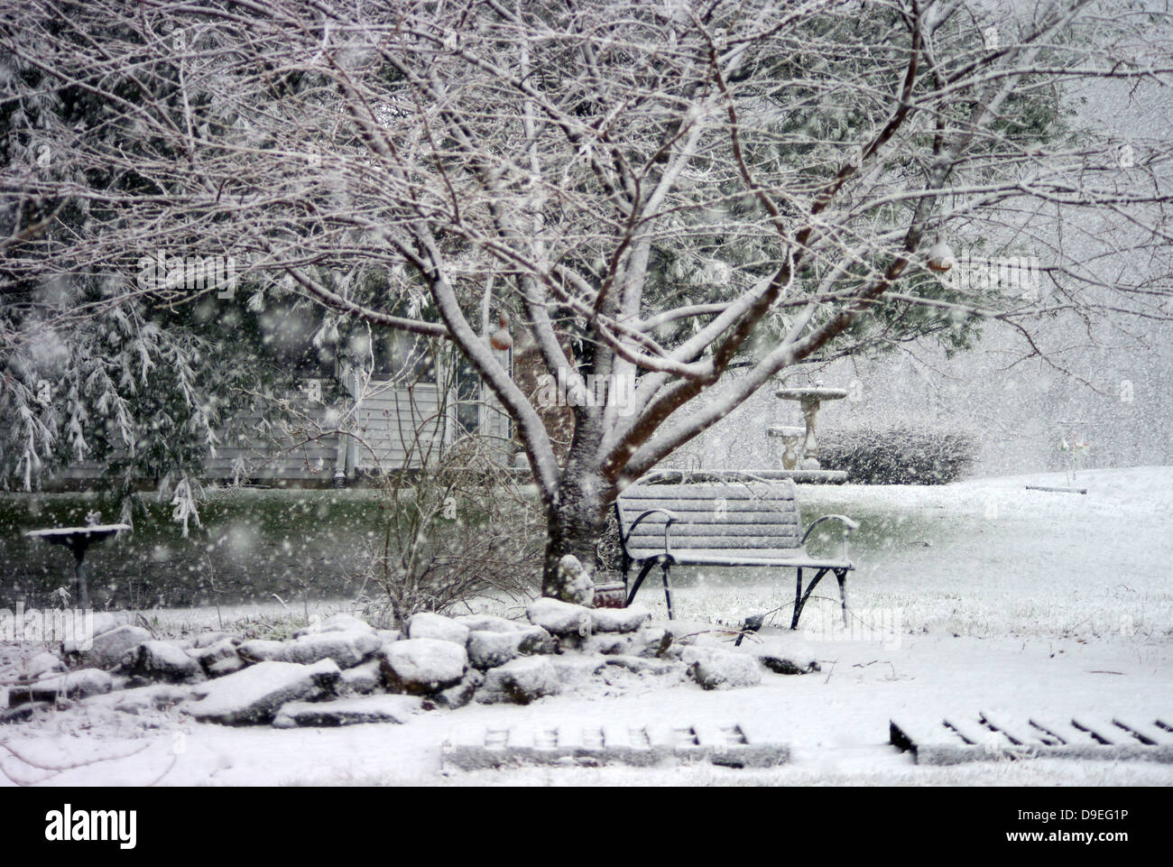 Winter in the Garden Stock Photo - Alamy