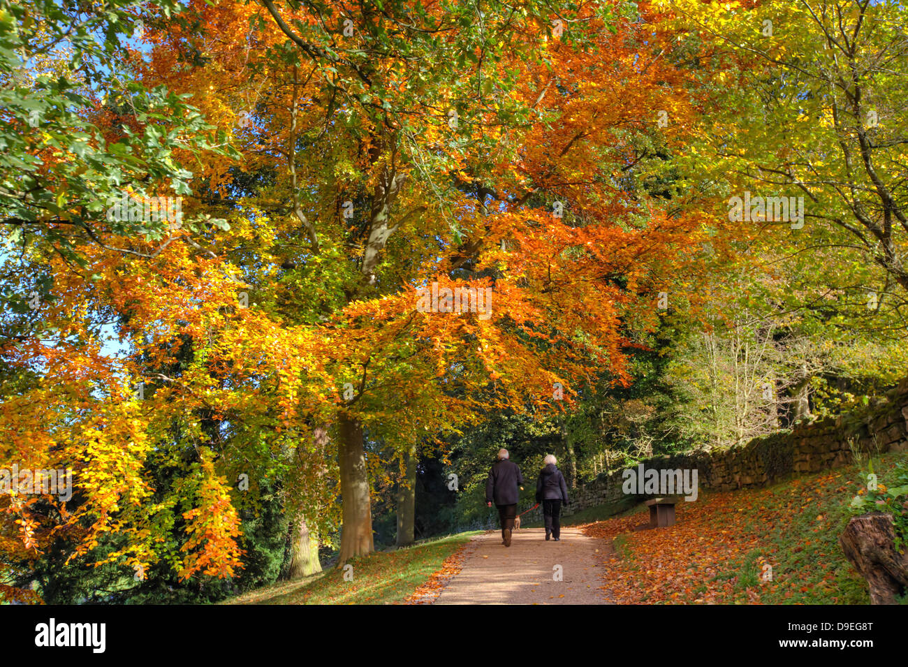 Autumnal scene in countryside Stock Photo - Alamy