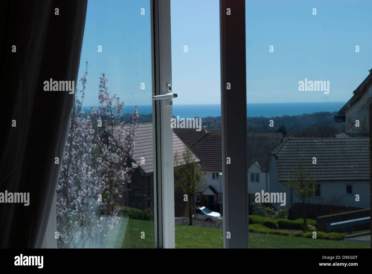 hastings summers day sunny sky window tree pink tree Stock Photo - Alamy