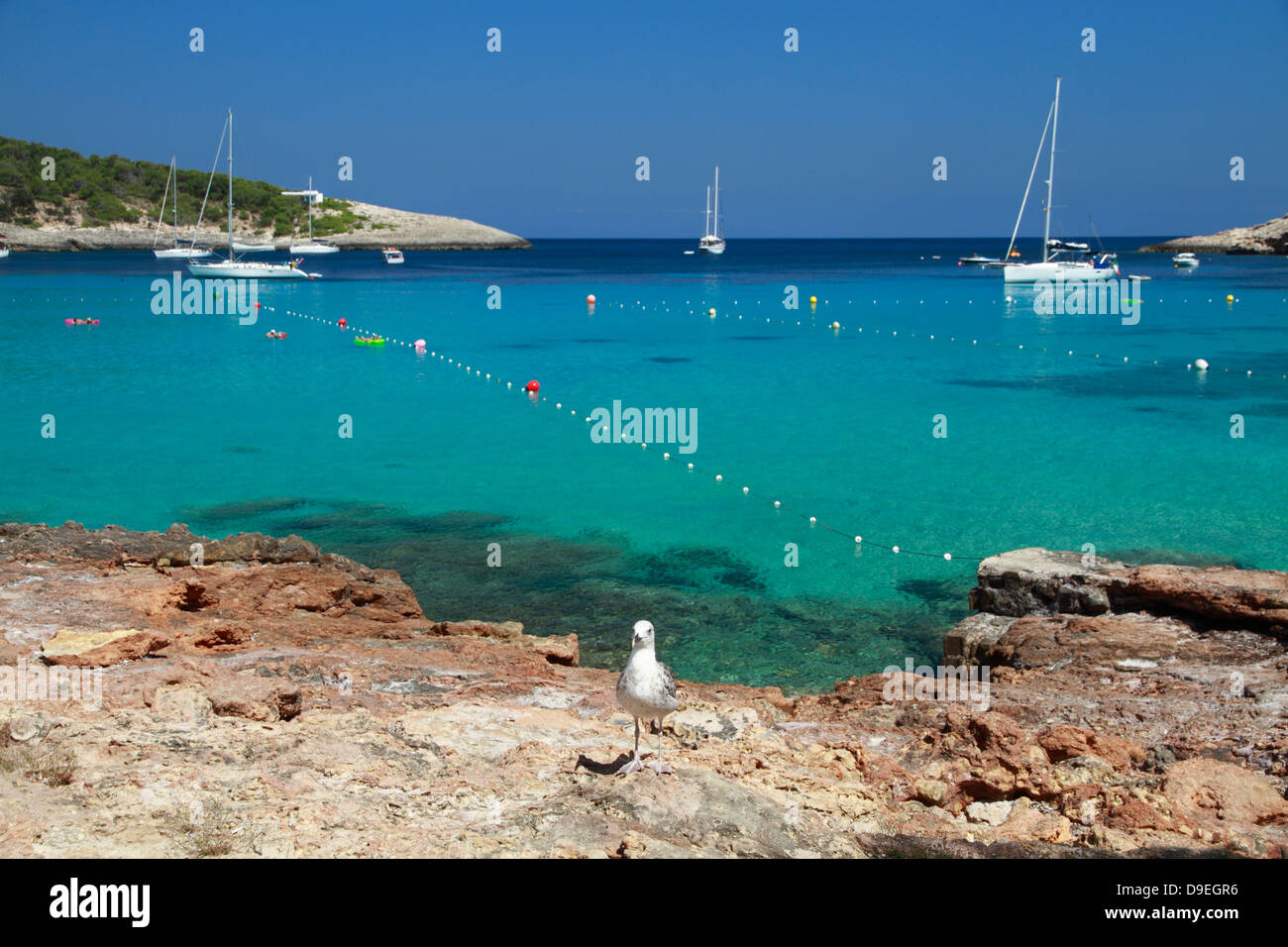 Portinatx hi-res stock photography and images - Alamy