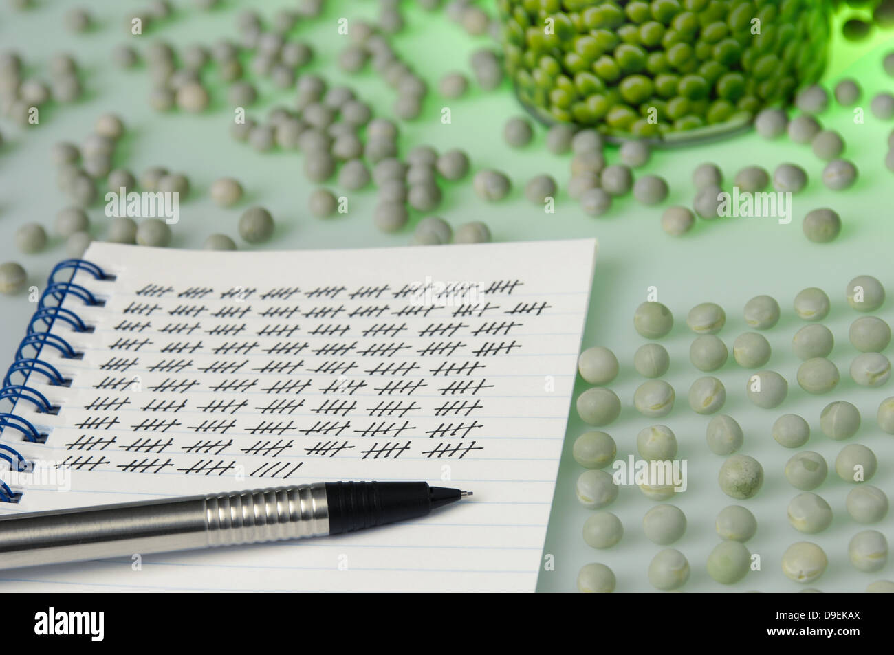 Accuracy meticulousness meticulously appeal arrange lined up line up ...