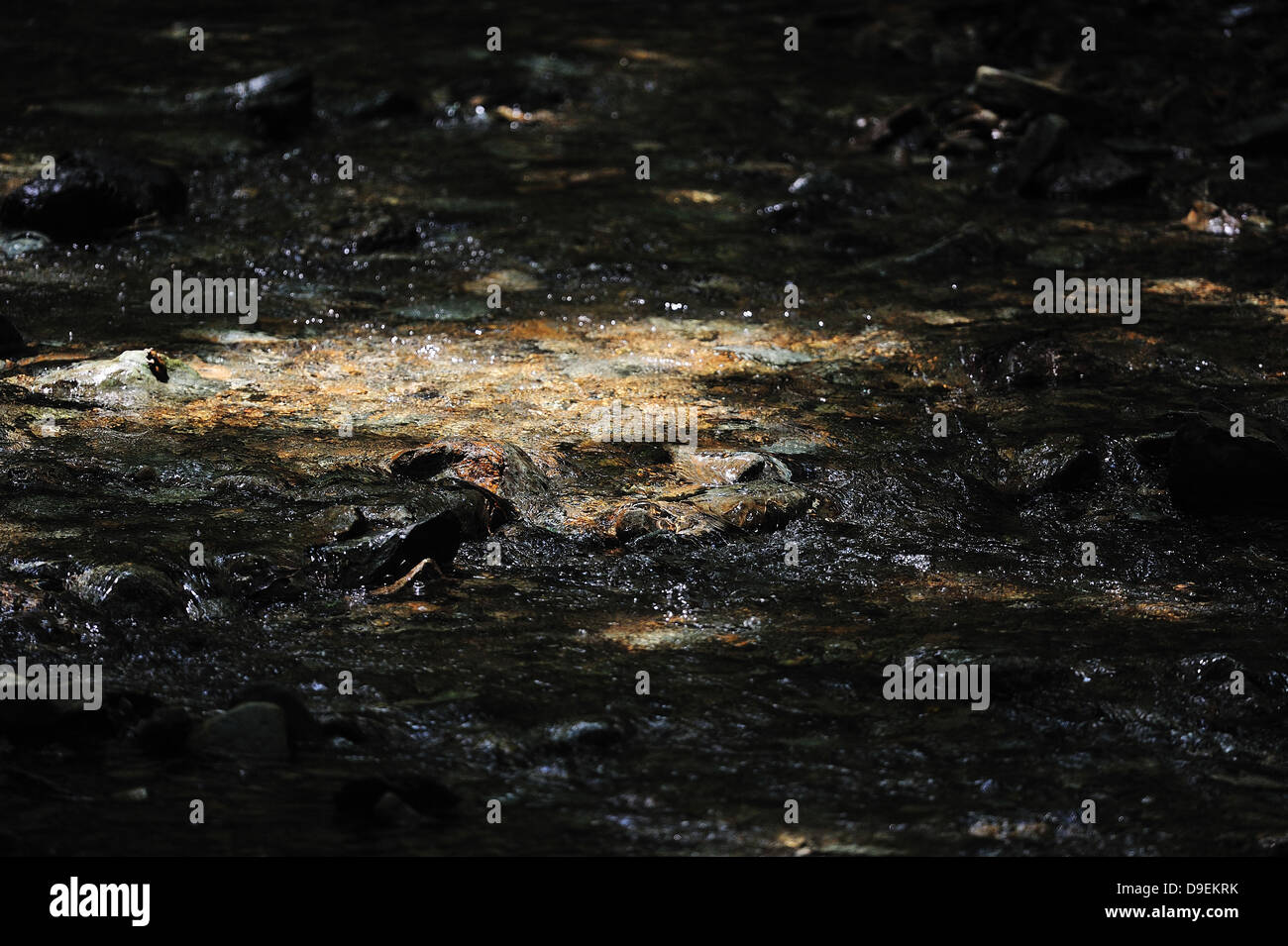 Isuzu river hi-res stock photography and images - Alamy