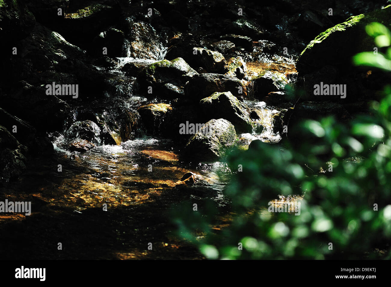 Isuzu river hi-res stock photography and images - Alamy