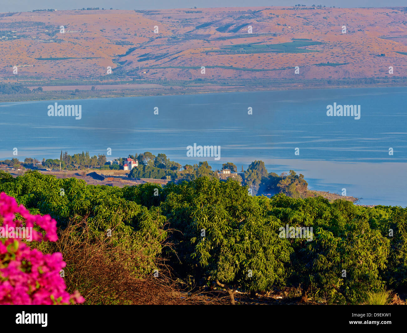 View of the Sea of Galilee toward Capernaum, Galilee, Israel Stock ...