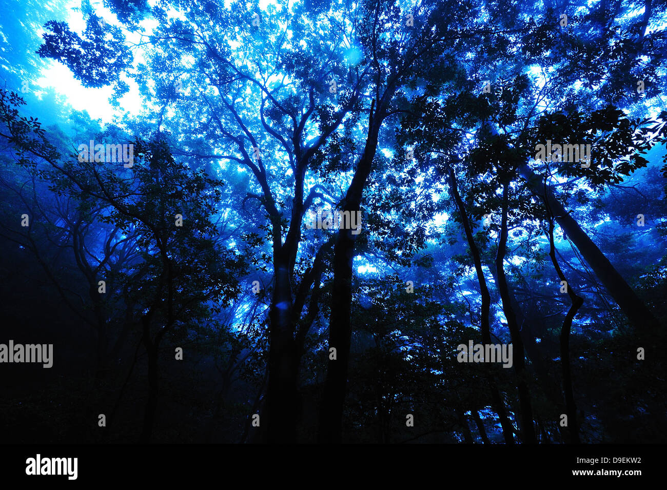 Ise mie prefecture japan hi-res stock photography and images - Alamy