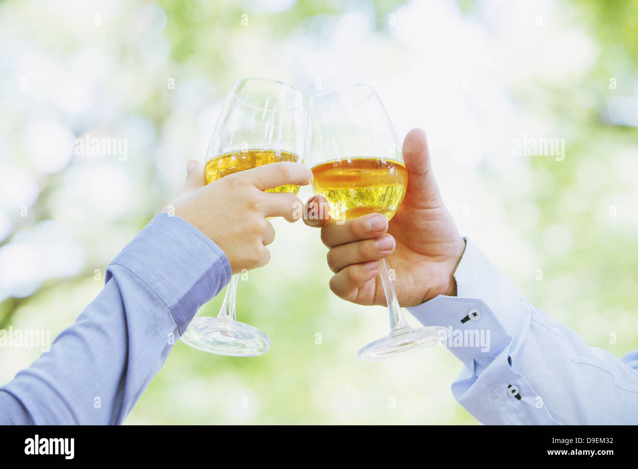 Couple cheering with white wine Stock Photo - Alamy