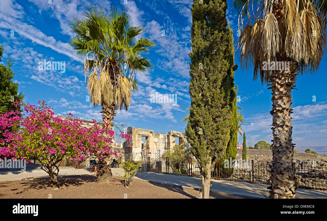Ruins ancient white synagogue hi-res stock photography and images - Alamy