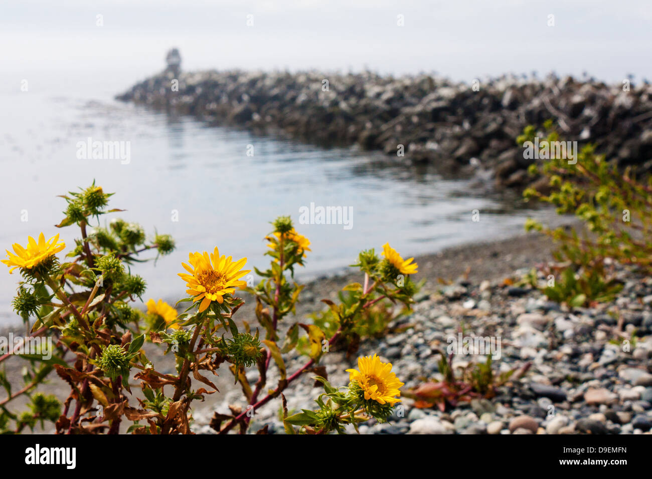 Keystone shores hi-res stock photography and images - Alamy