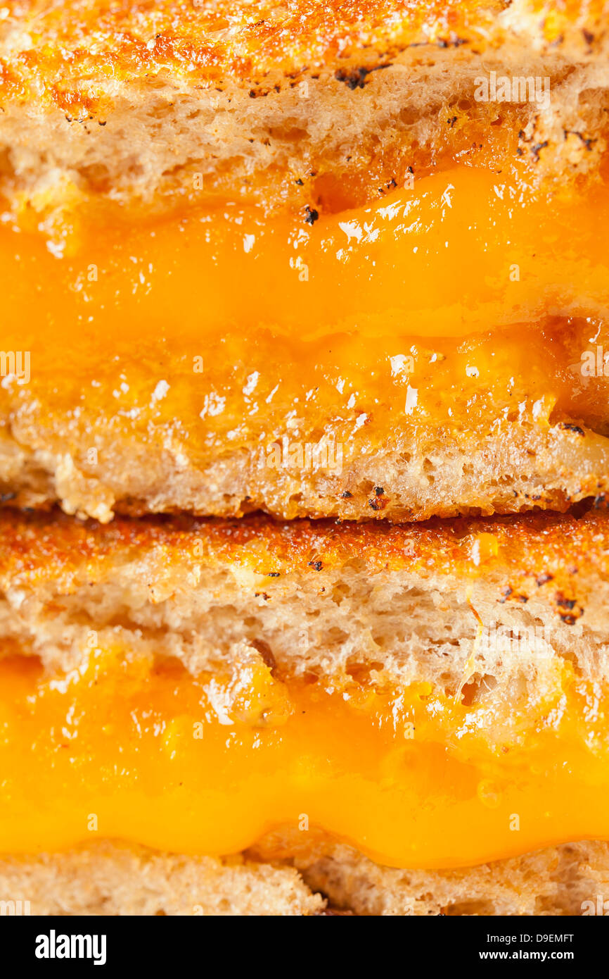 Traditional Homemade Grilled Cheese Sandwich on Whole Wheat Bread Stock ...