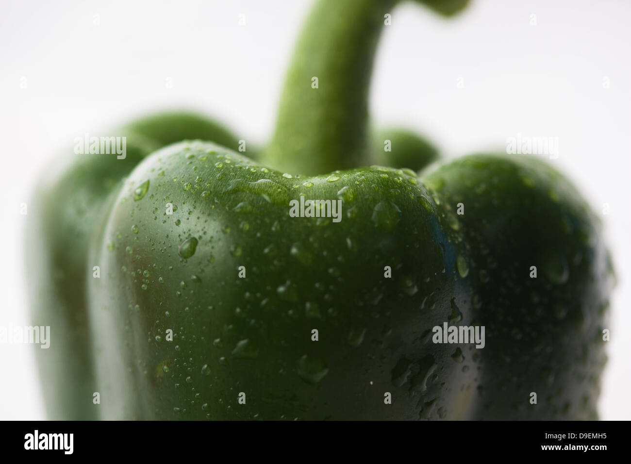 Green capsicum hi-res stock photography and images - Alamy