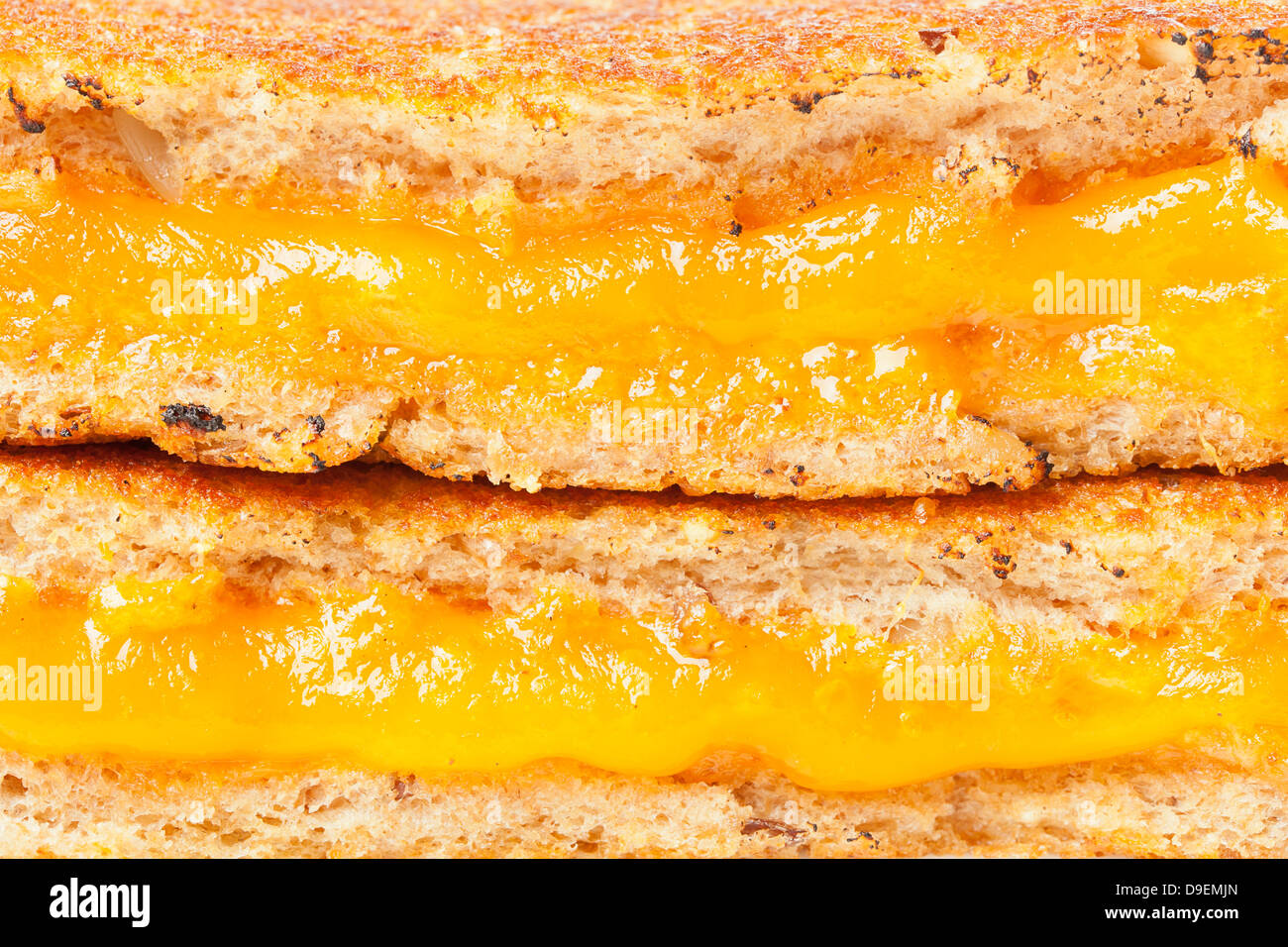 Traditional Homemade Grilled Cheese Sandwich on Whole Wheat Bread Stock ...