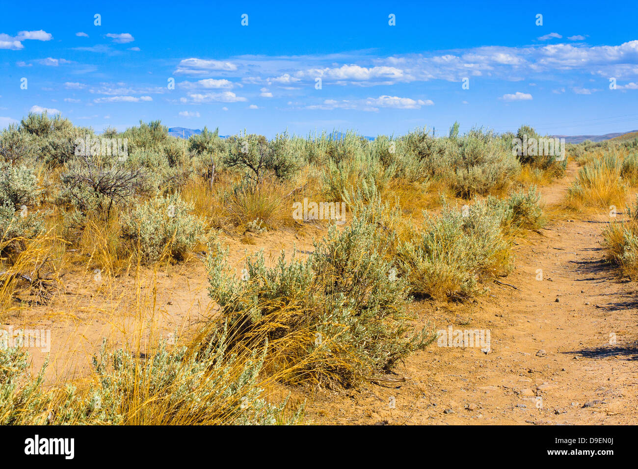 Oregon trail wagon hi-res stock photography and images - Alamy