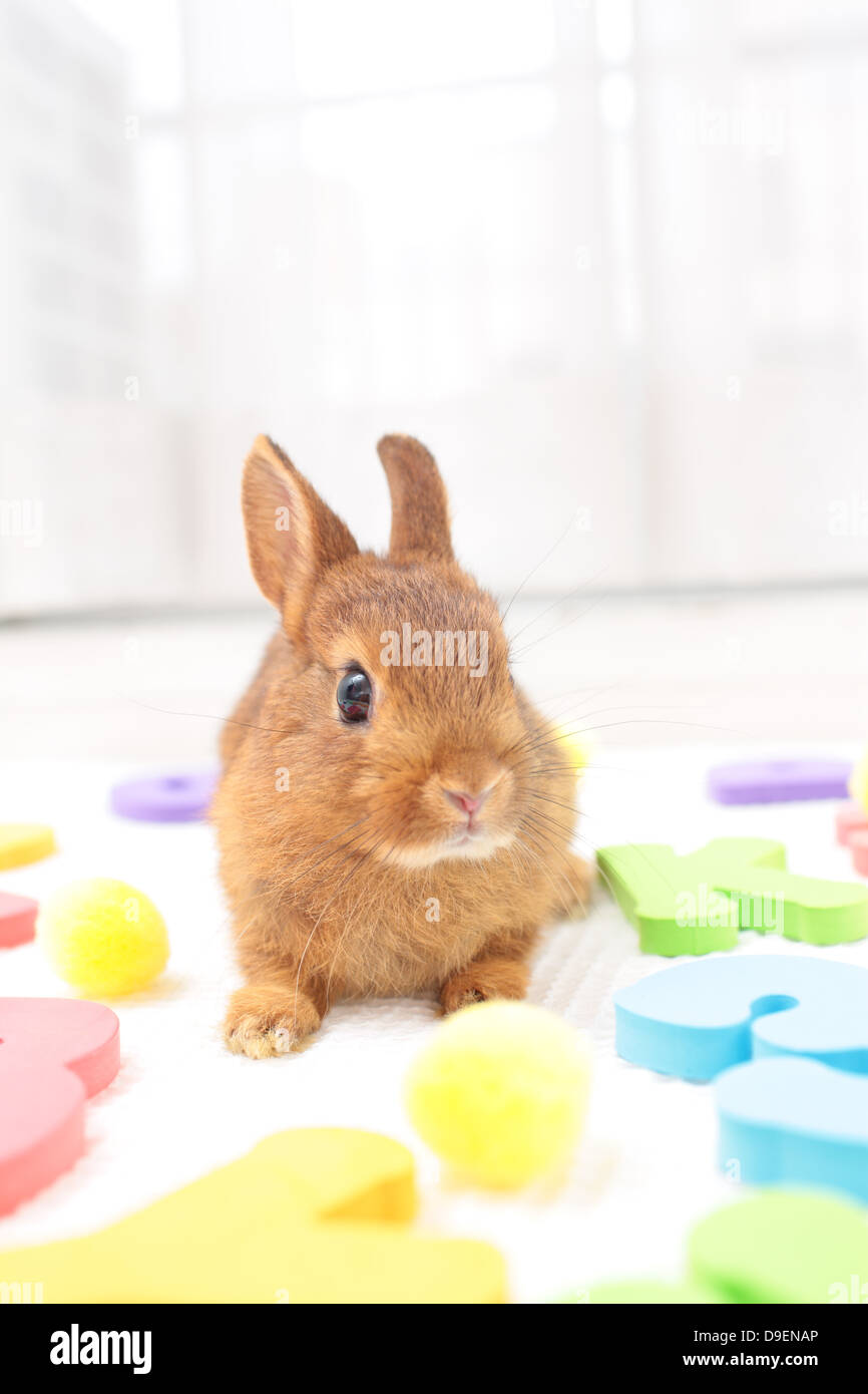 Mini bonds hi-res stock photography and images - Alamy
