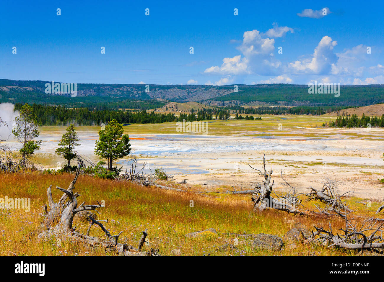 Lower geyser basin hi-res stock photography and images - Alamy