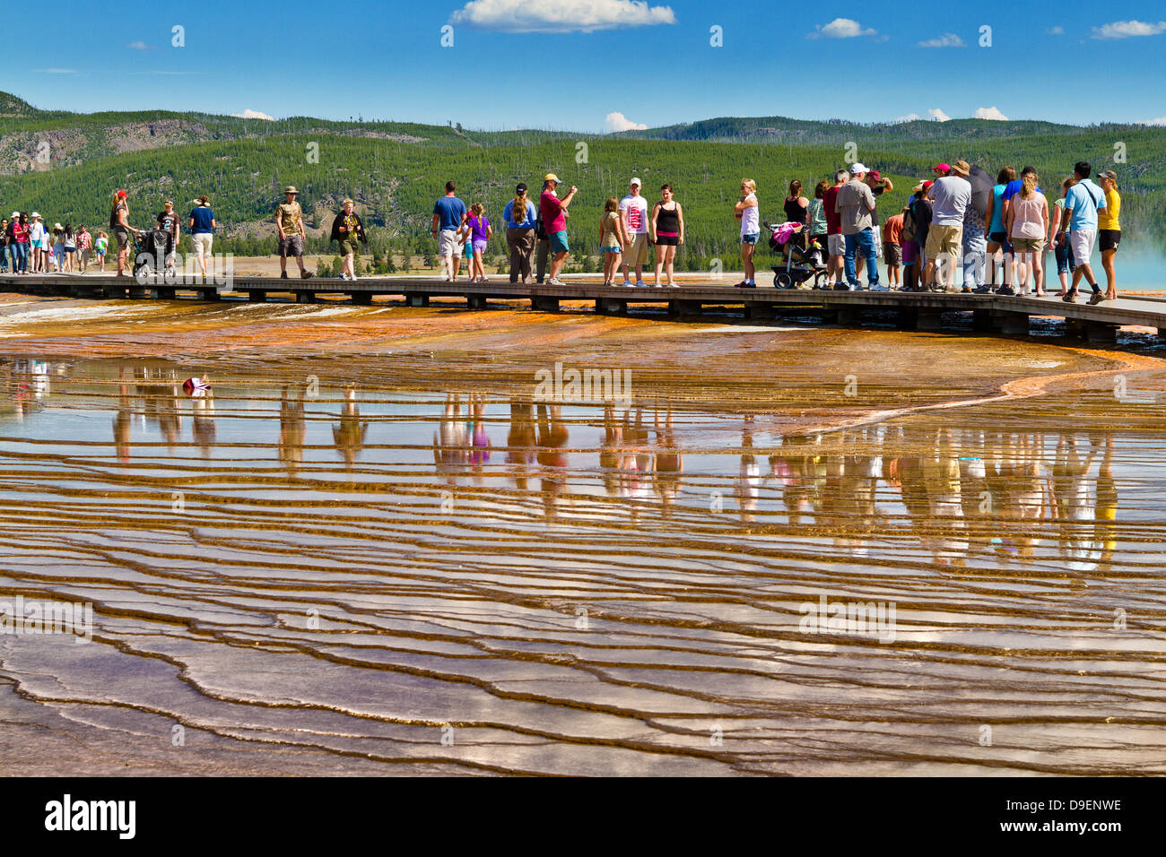 Crowds of summer tourists on boardwalk looping around Grand Prismatic ...