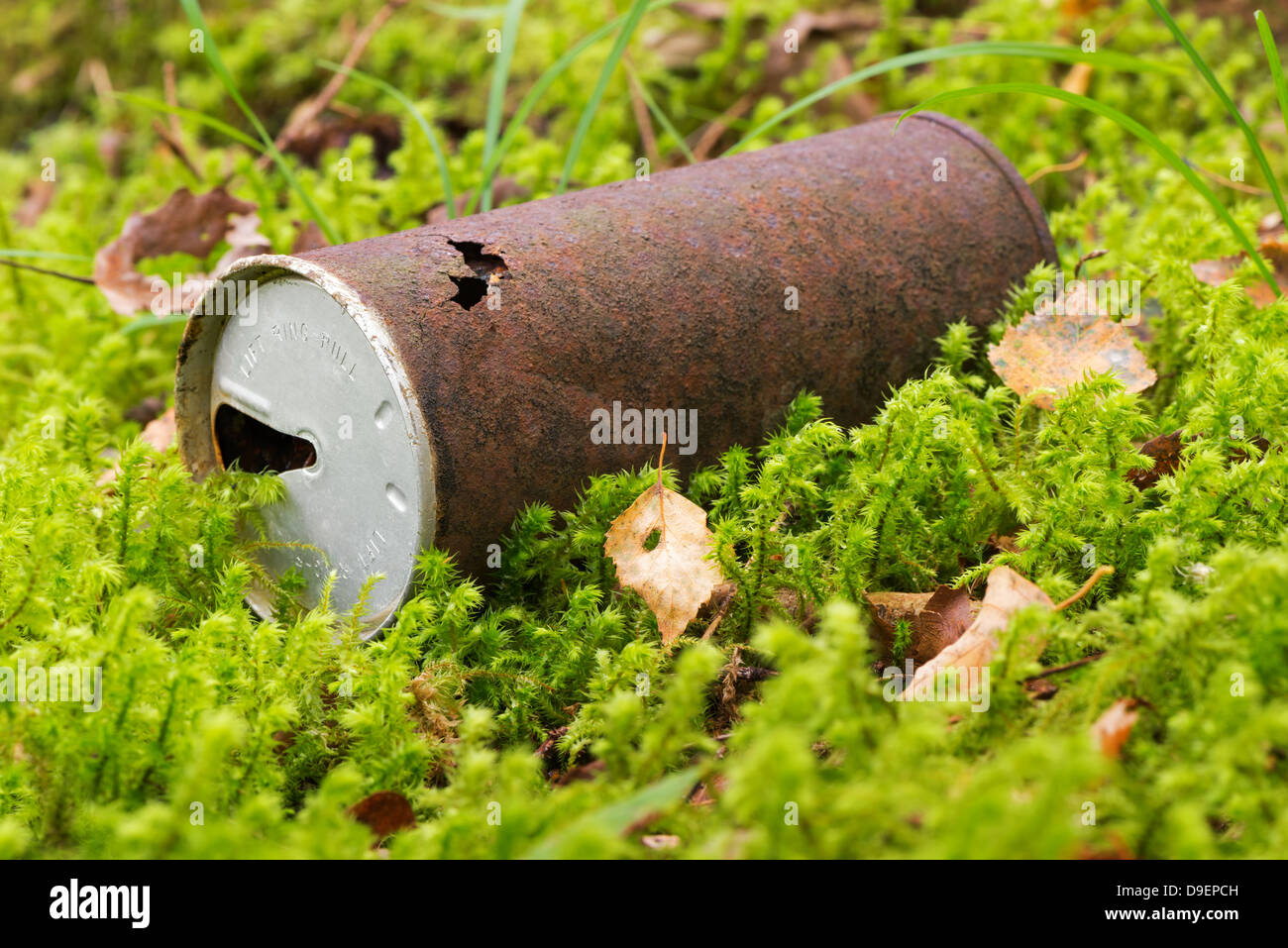 A lot of these cans from the 70s and 80 laying around in the forest ...