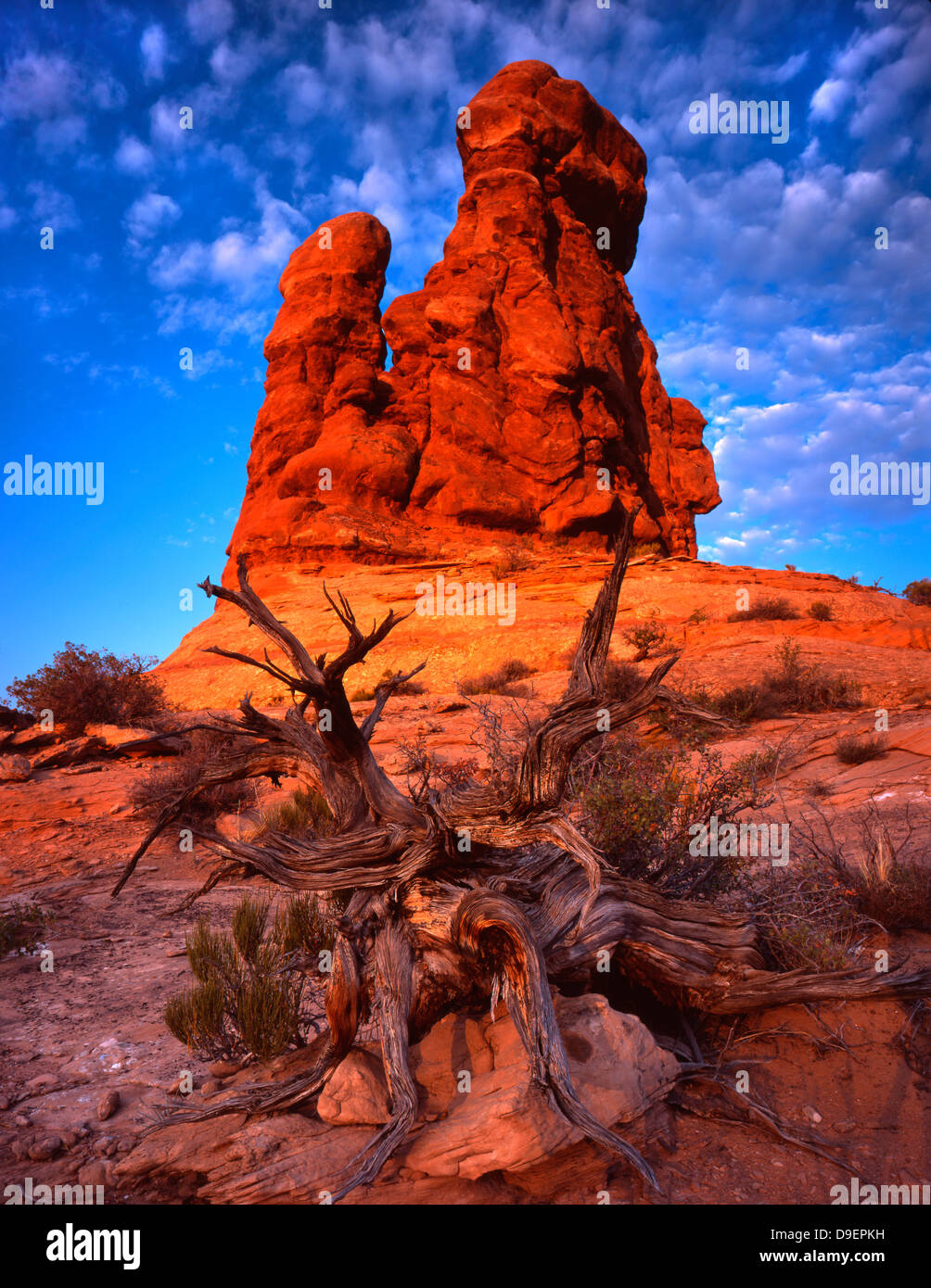 Sunrise on remote butte near Garden of Eden in Arches National Park ...