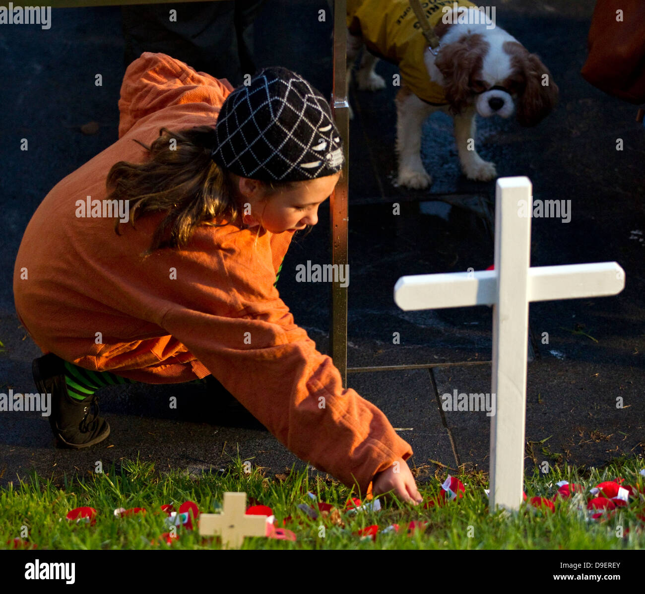 Anzac poppy hi-res stock photography and images - Alamy