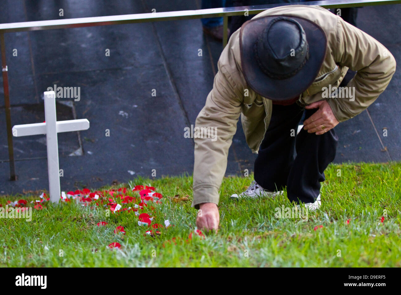 A man lays a poppy in the Field of Remembrance at the Anzac Day Dawn ...