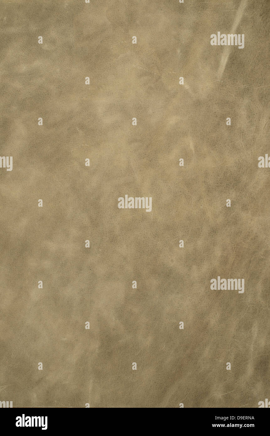 Green leather texture closeup background Stock Photo - Alamy