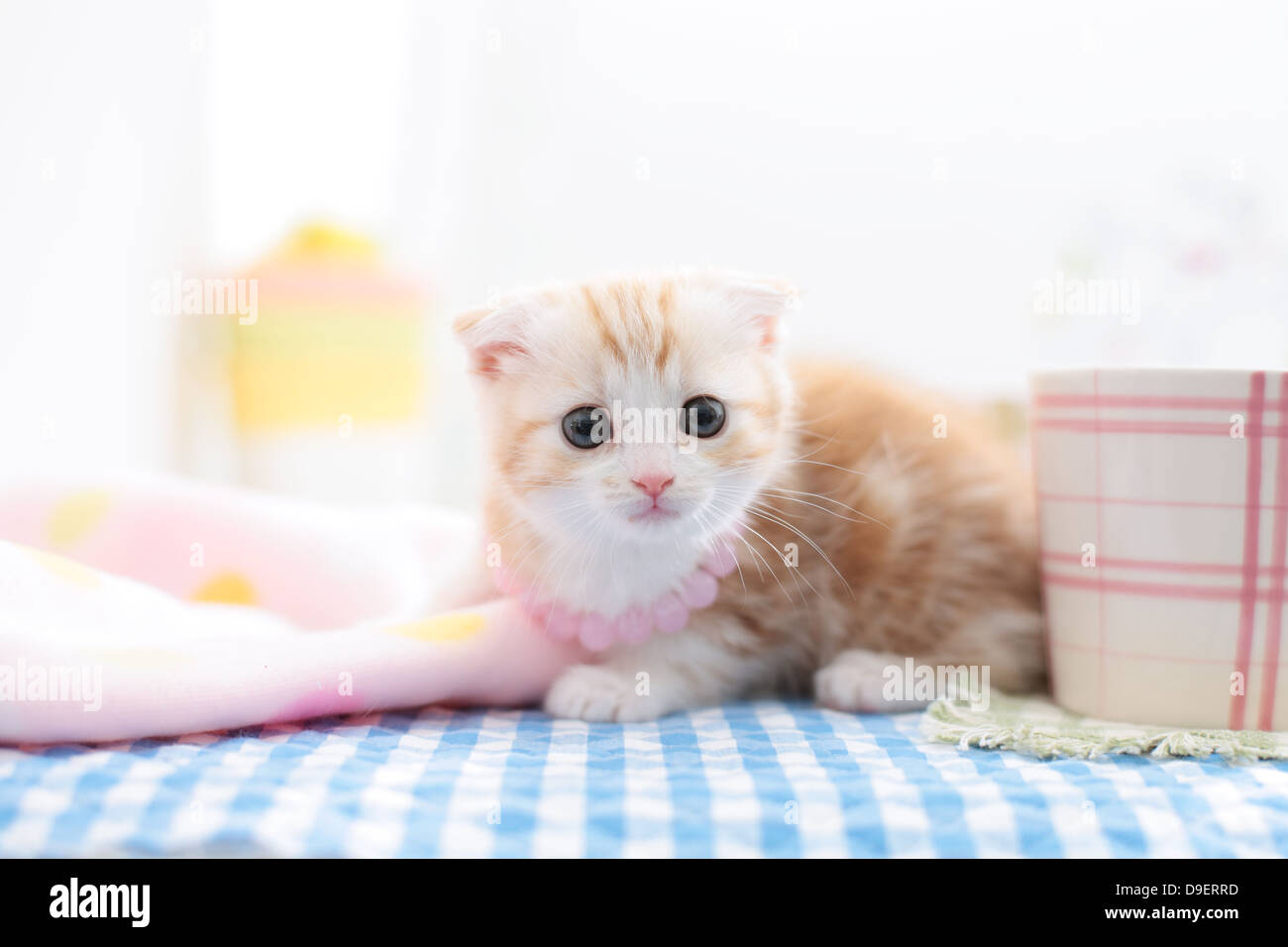Check fold hi-res stock photography and images - Alamy