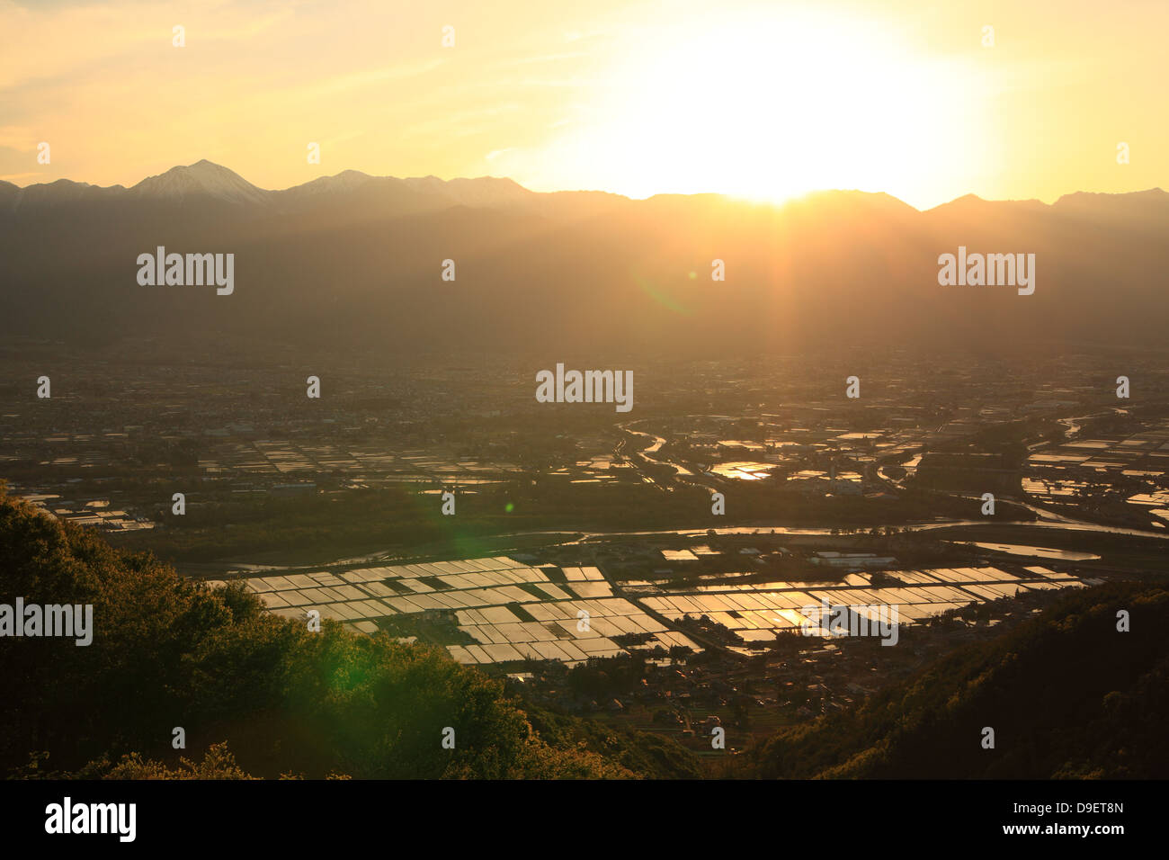 Sunset at flooded rice field in Azumino city, Nagano, Japan Stock Photo ...
