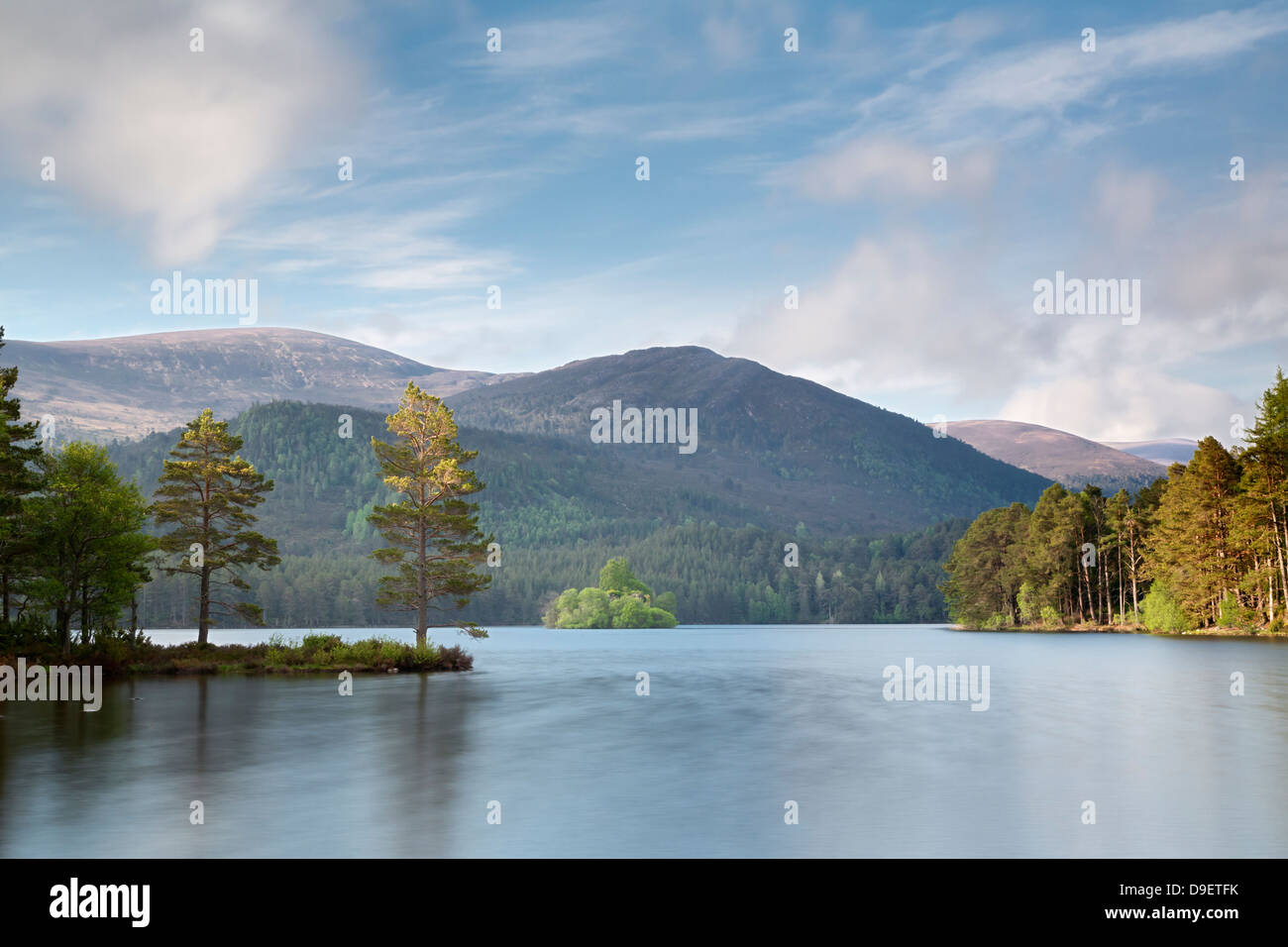 Lochside view of pine trees in springtime at Loch an Eilein, Badenoch ...
