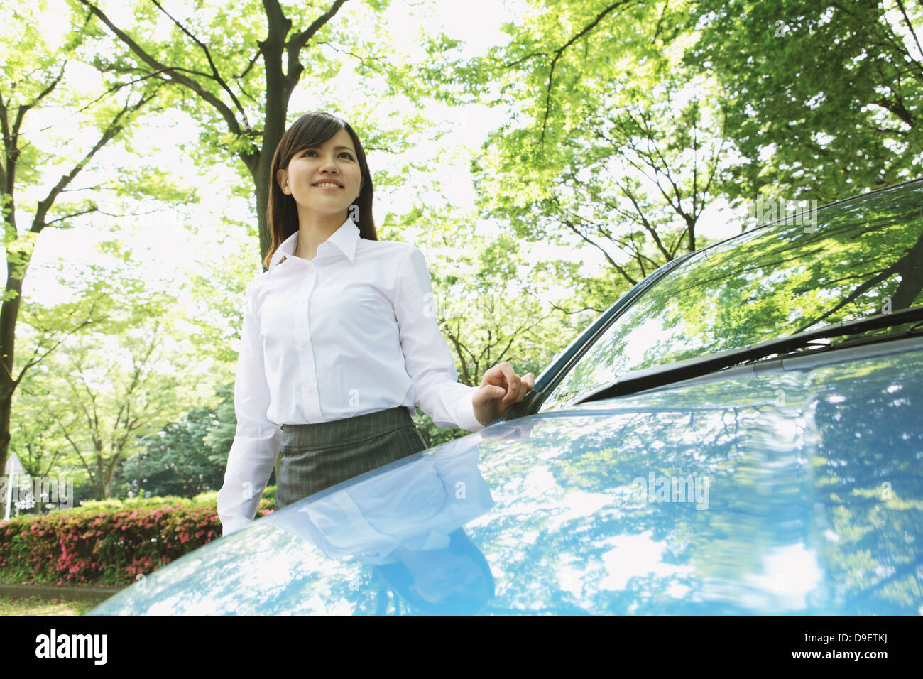 Blue tree trees car hi-res stock photography and images - Alamy